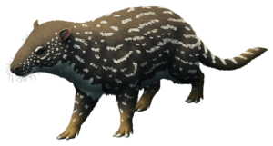 Phenacodus – Nix Illustration