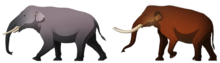 stegodon – Nix Illustration
