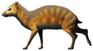 Antilohyrax – Nix Illustration