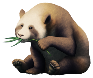 April 2020 – Nix Illustration