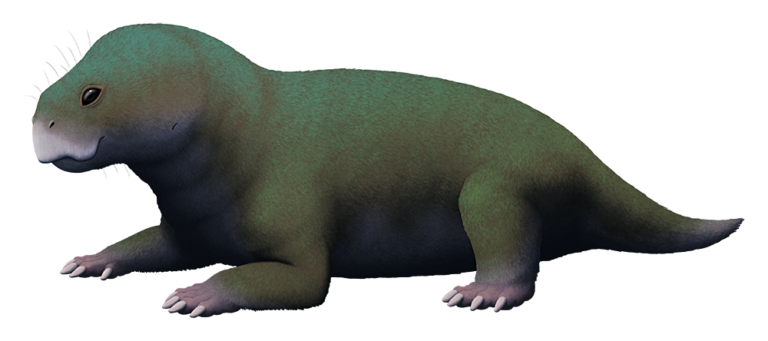 Diictodon – Nix Illustration