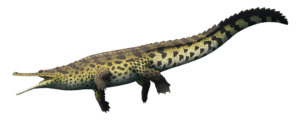 pseudosuchia – Nix Illustration