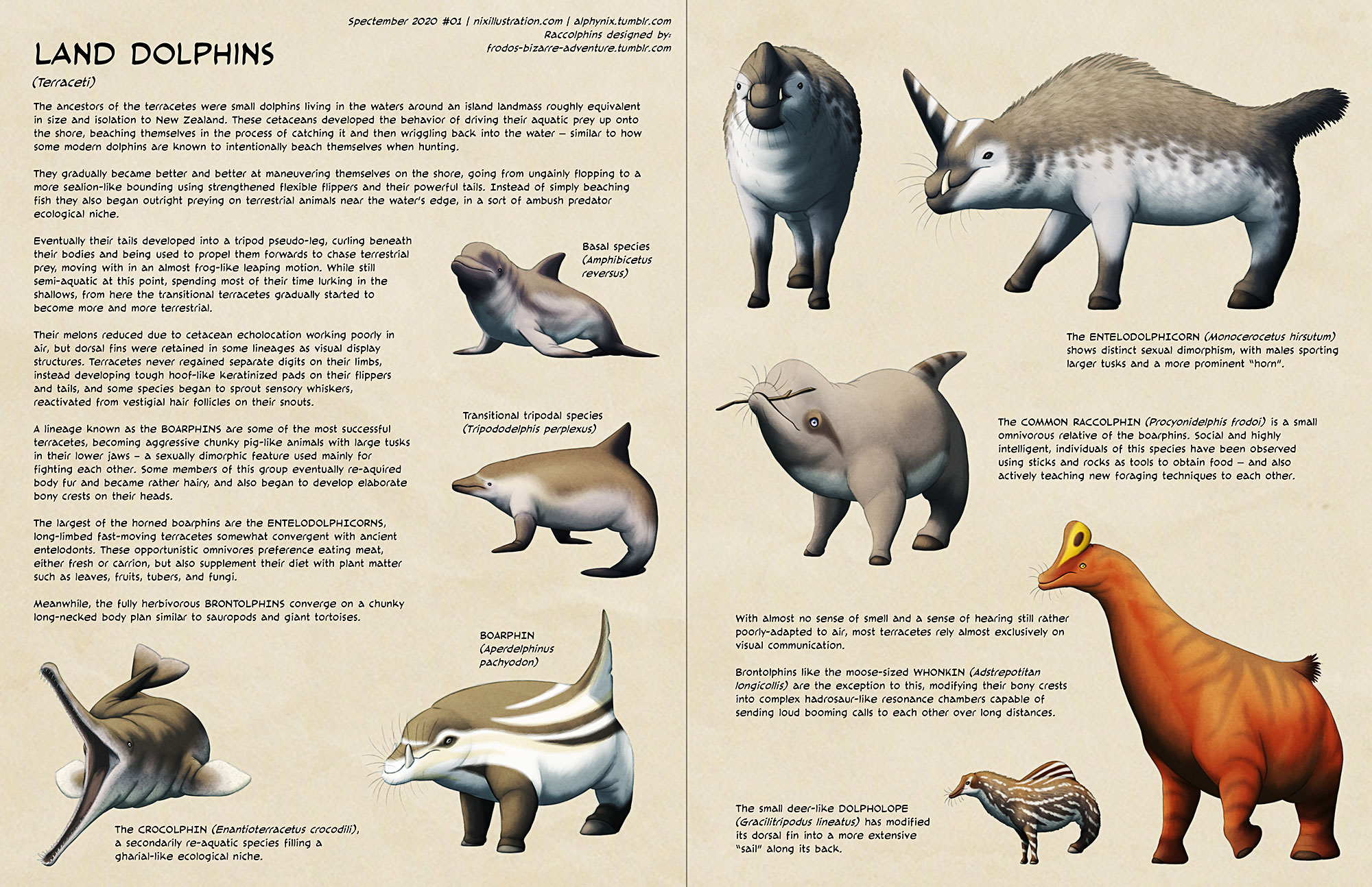 land dolphins – Nix Illustration