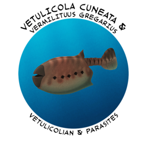 Cambrian Explosion Month #17: Phylum(?) Vetulicolia & Other Early ...