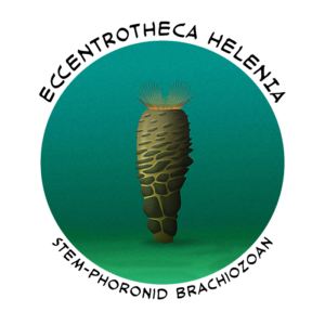 Cambrian Explosion Month #29: Phylum Phoronida & Early Brachiozoans ...