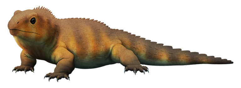 arthropod – Nix Illustration