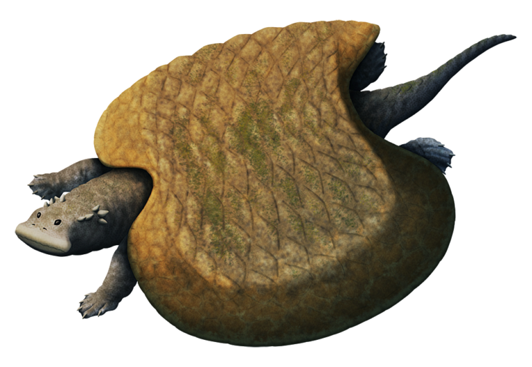 euclastes – Nix Illustration