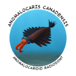 Cambrian Explosion #42: Radiodonta – The Strangest Shrimps – Nix ...