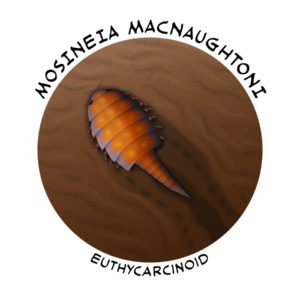 Cambrian Explosion #56: Euthycarcinoidea – Nix Illustration