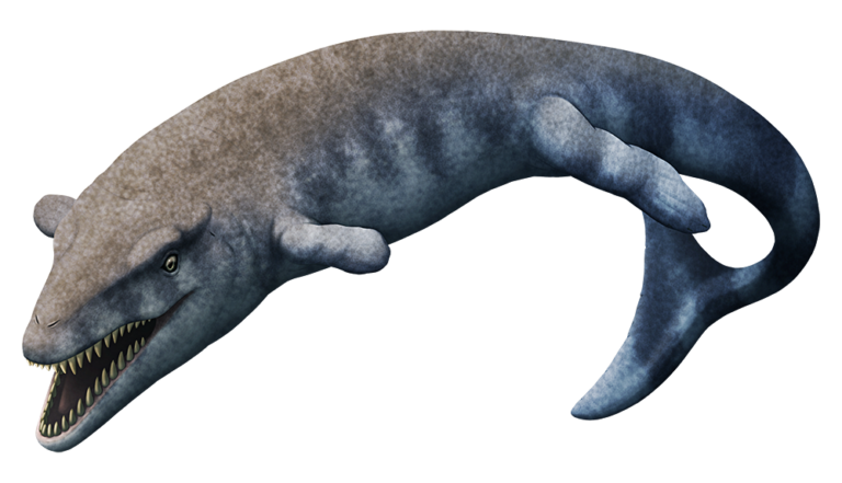pseudosuchia – Nix Illustration