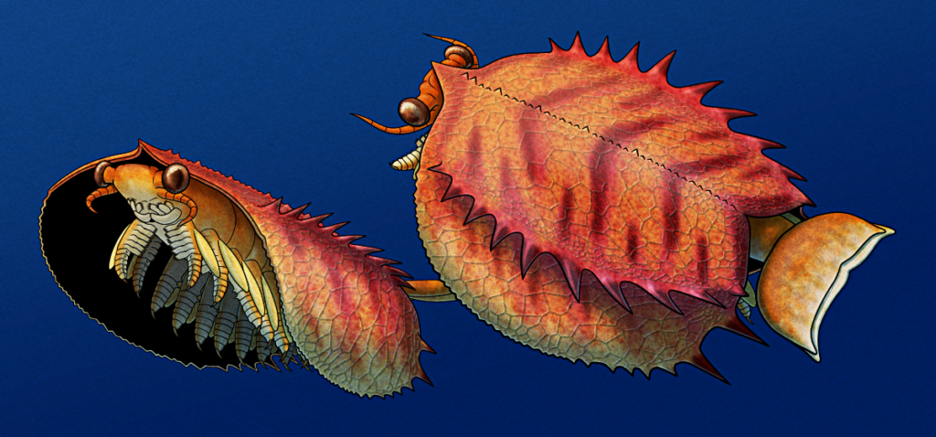 Nix Illustration – Paleontology and science illustration, and ...