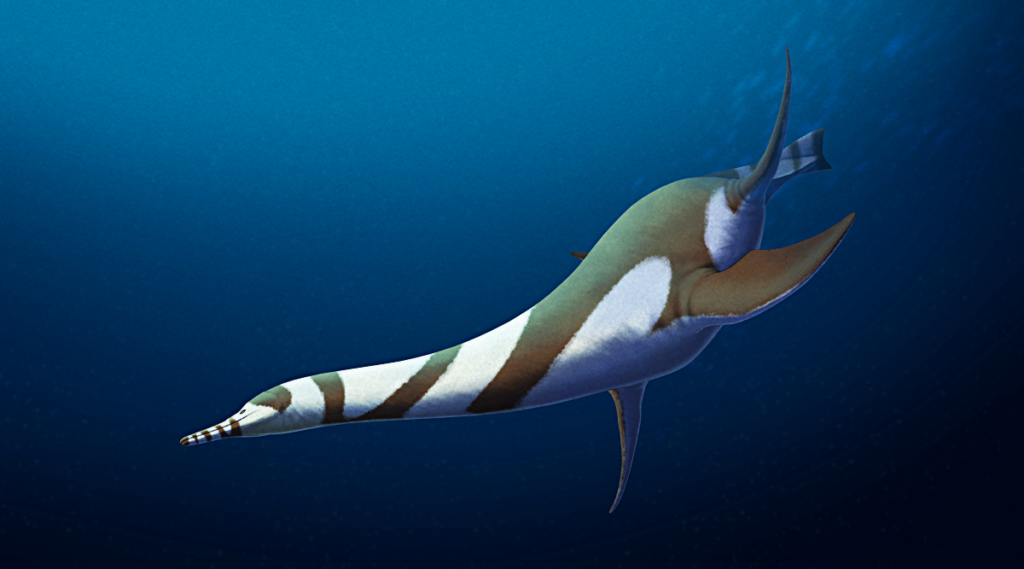 plesiosauroidea – Nix Illustration