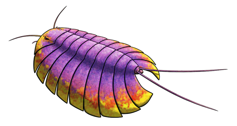 Nix Illustration – Paleontology and science illustration, and ...