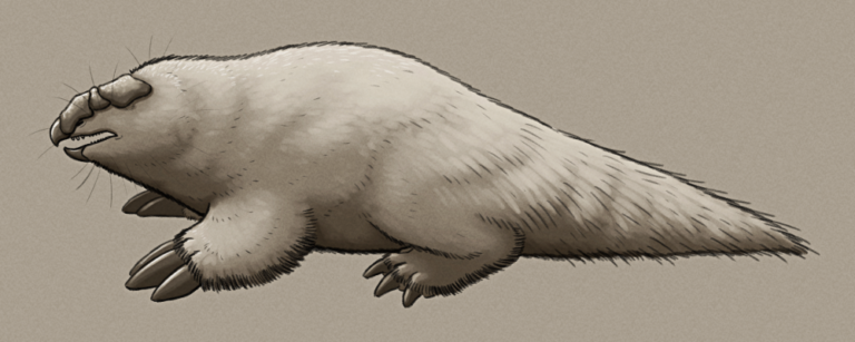 Nix Illustration – Paleontology and science illustration, and ...