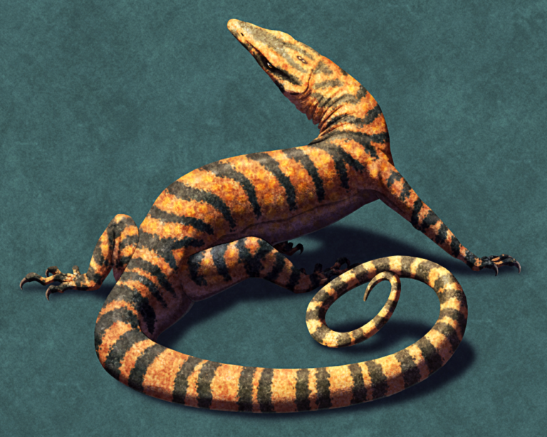 Nix Illustration – Paleontology and science illustration