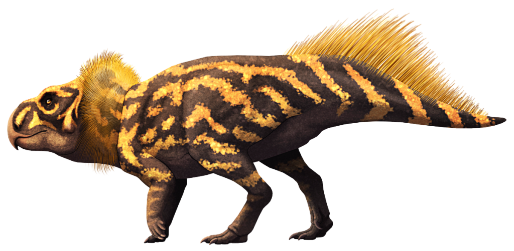 ceratopsoidea – Nix Illustration